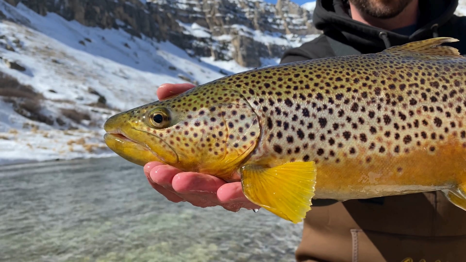 Angling Wisdom Podcast: Your Ultimate Fishing Resource