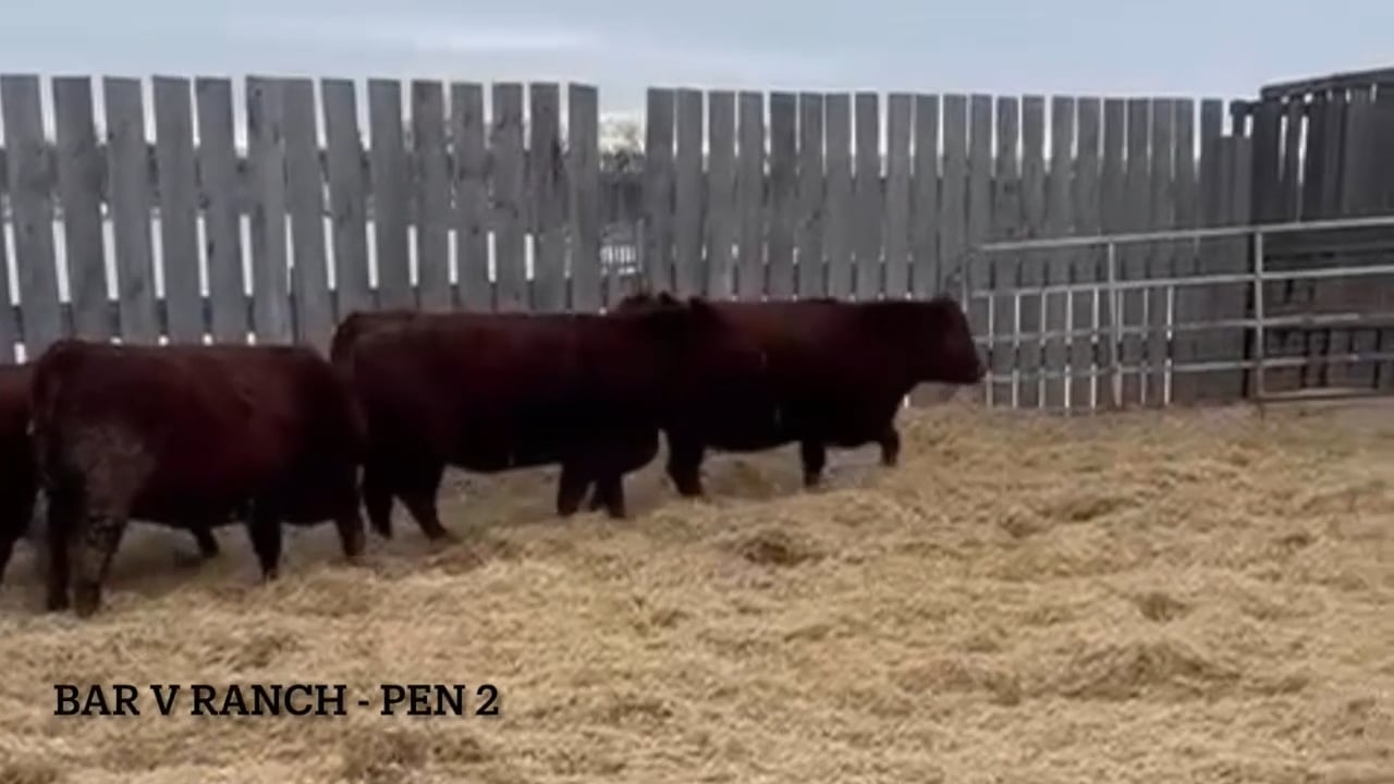 Bar V Ranch - Pen 2_1