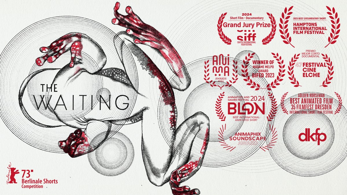 Animation Videos on Vimeo