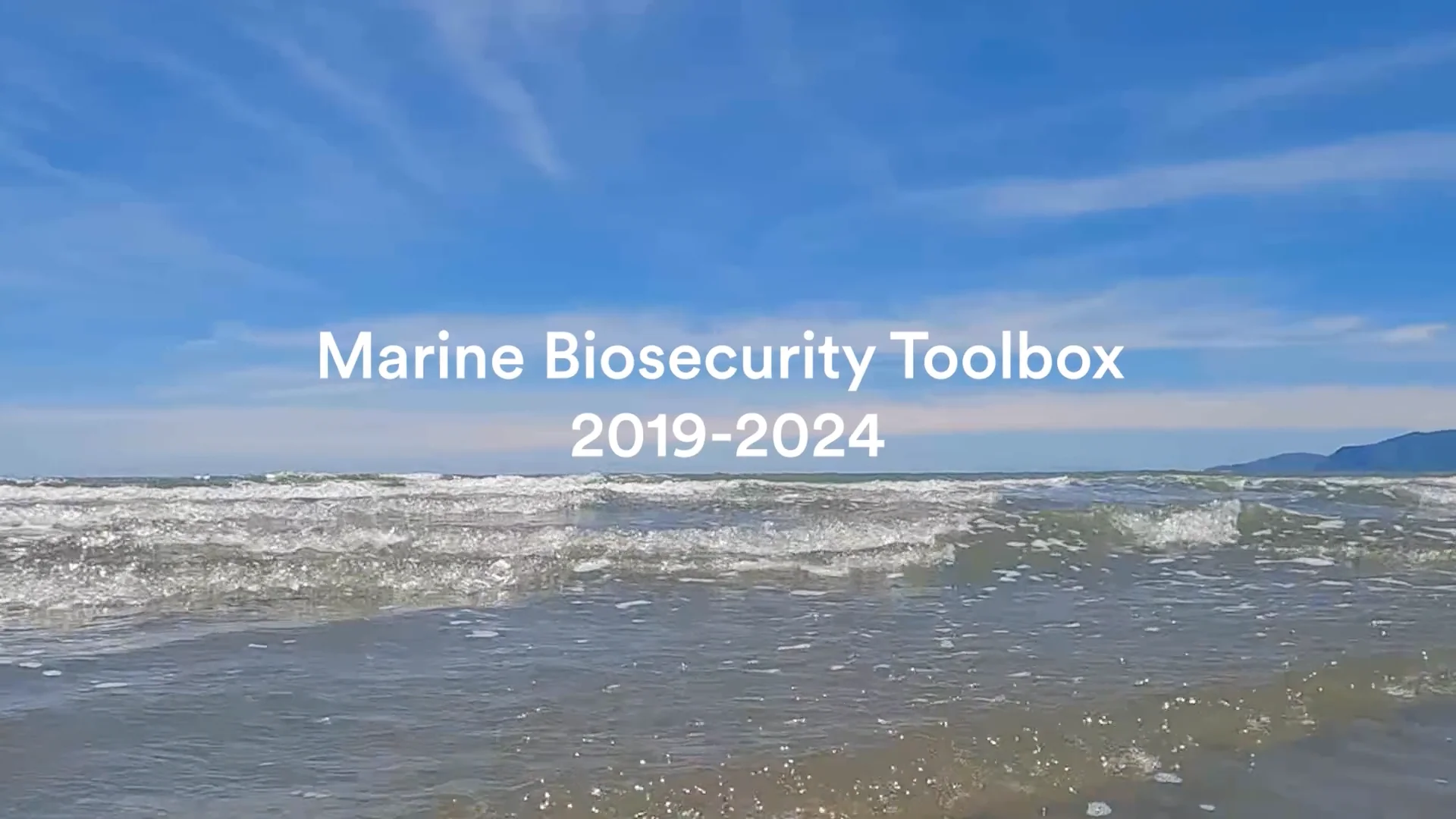 Marine Biosecurity Toolbox - Research Programme Summary 2019-2024