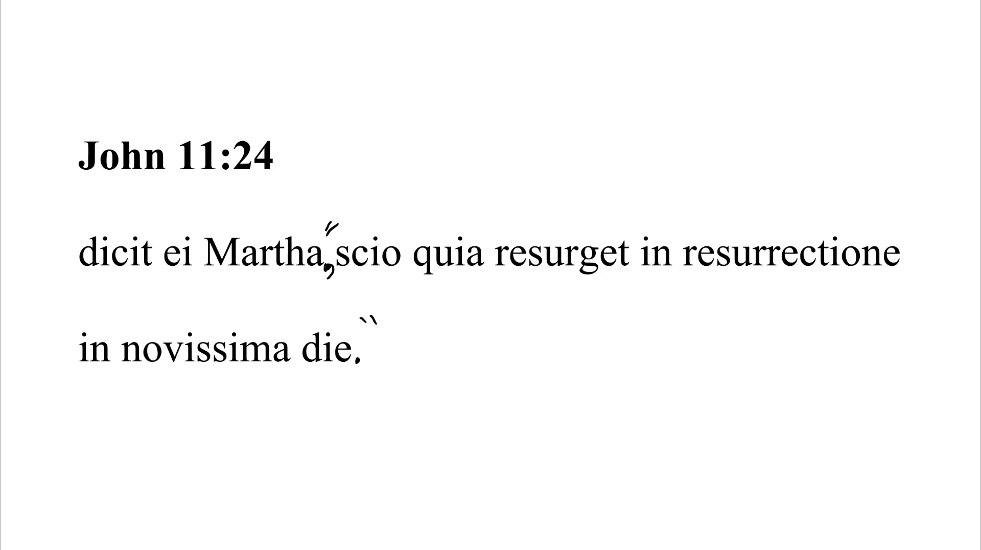 John 11:24 Latin Vulgate