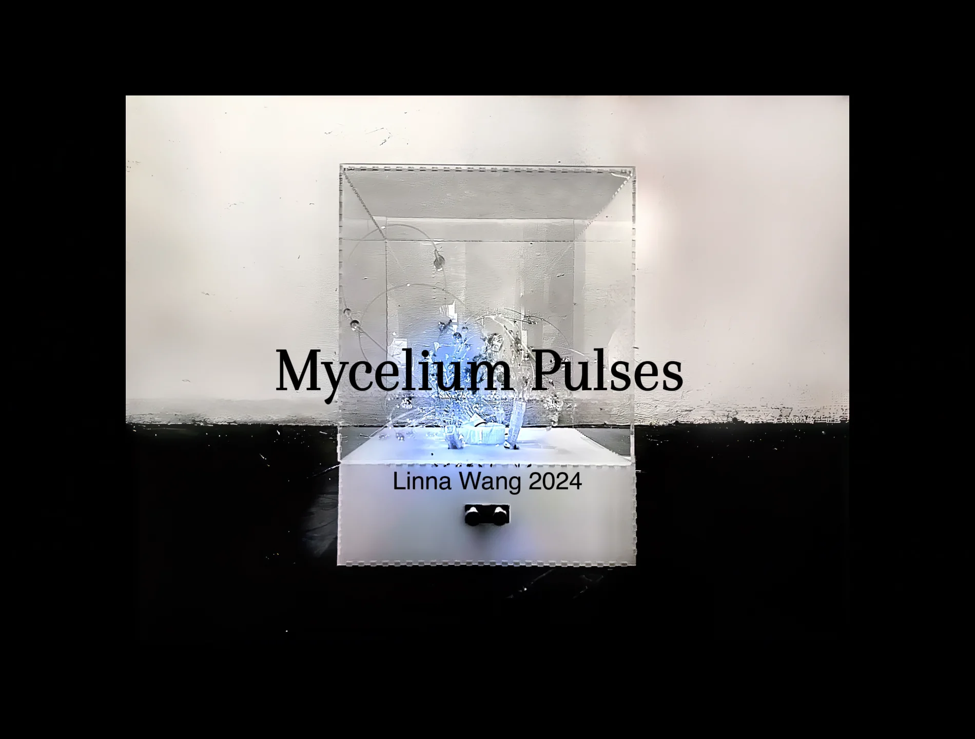 Mycelium Pulses #gold-comparts #comparts-pc1