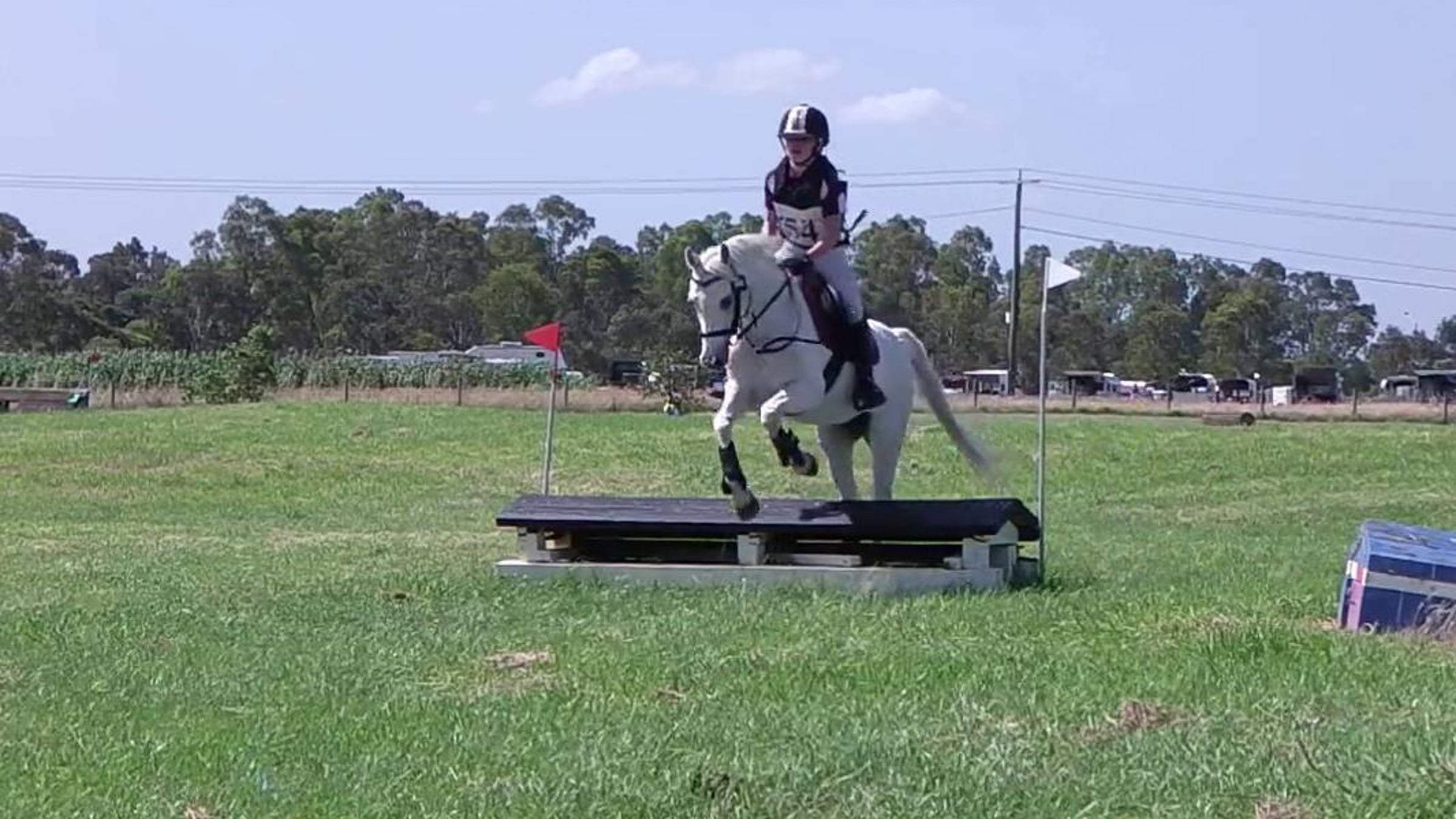 Jaimee Bull riding Warranwood Preview 54 Grade 5 Mentone Pony Club ...