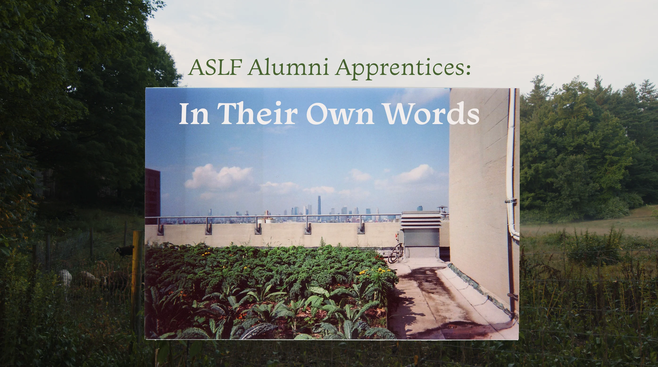 ASLF Alumni Apprentices: In Their Own Words 2