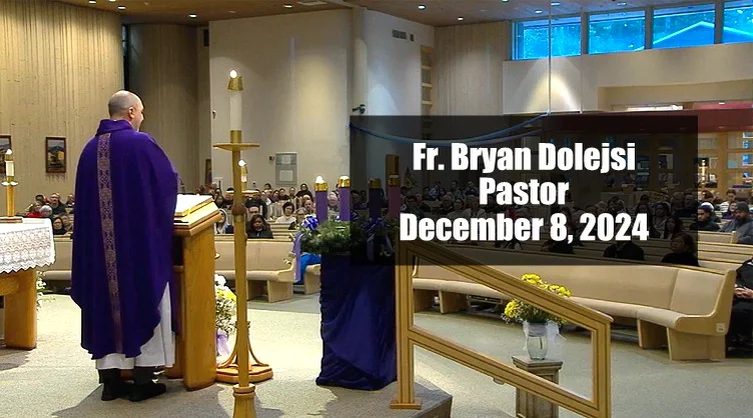 Fr Bryan Homily - December 8, 2024