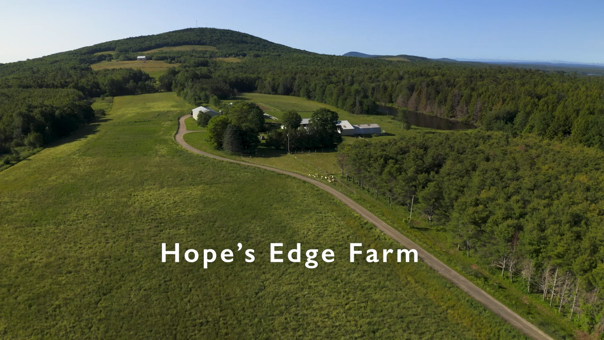 Hopes Edge Farm Video