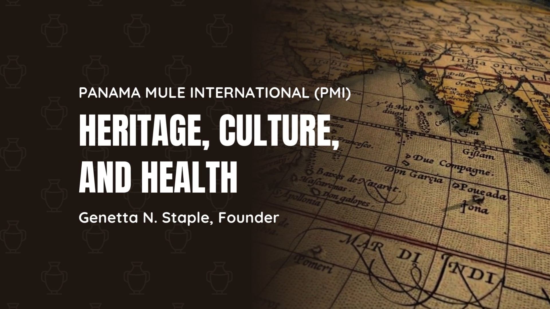 PMI WELLNESS CENTER | Panama Mule International