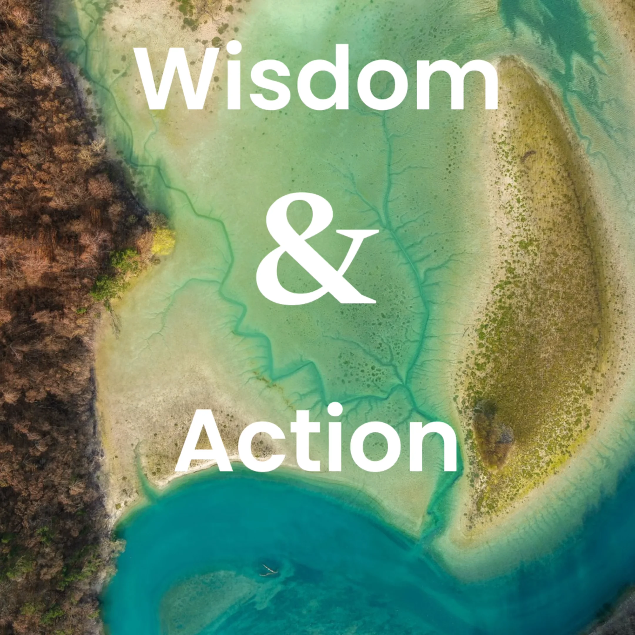 Wisdom & Action Forum 2025