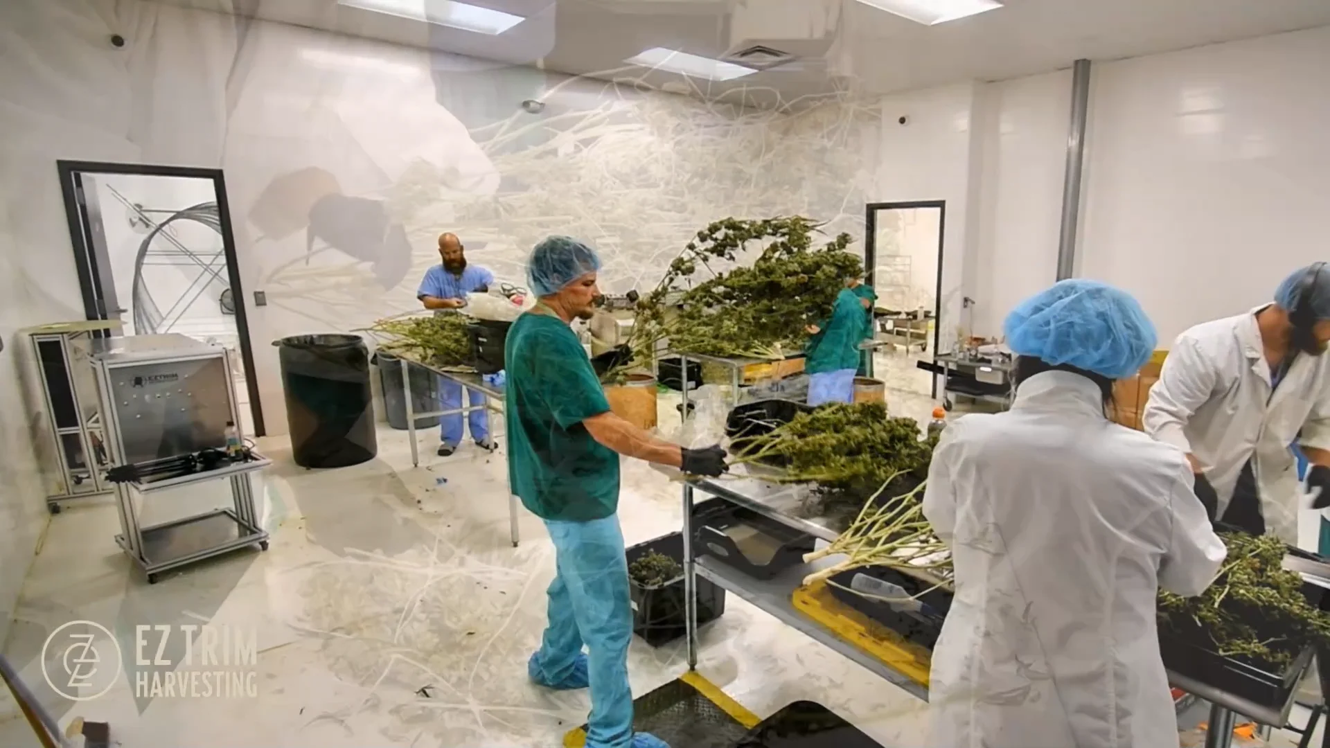 Proper Bud Prep for Satellite Bud Trimmer