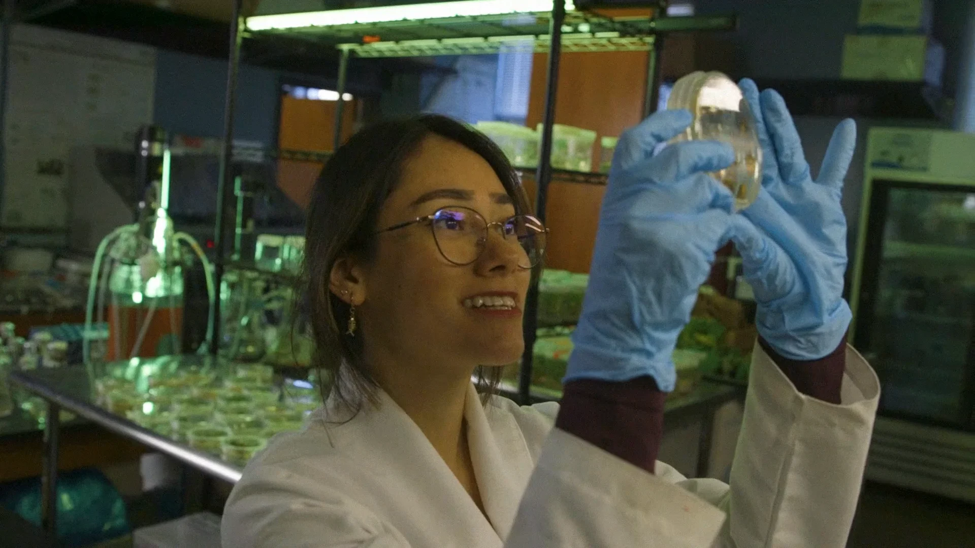 A plant based approach for ulcerative colitis