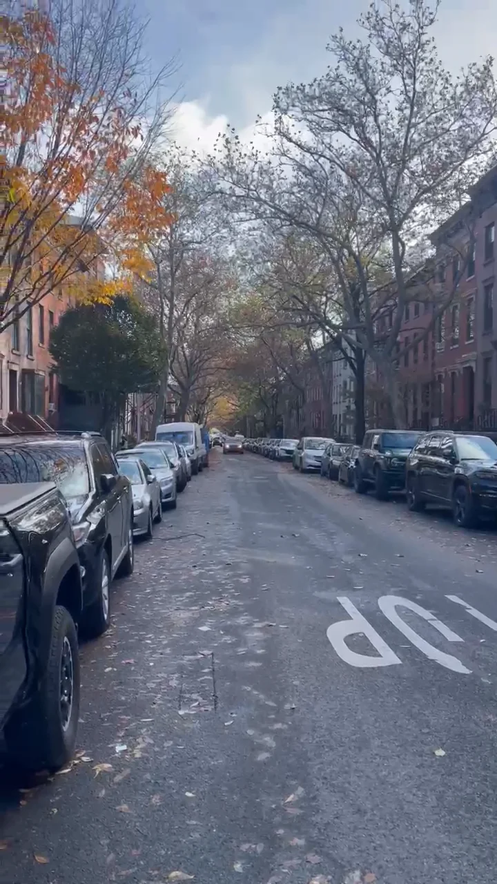 2024 Dec Ryan the streets around his house in Brooklyn