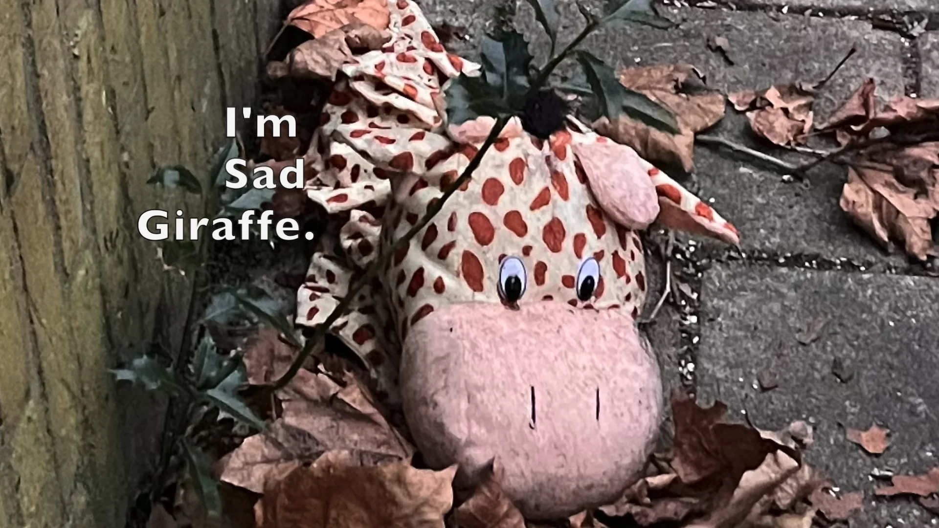 NVC Beautiful Sad Giraffe