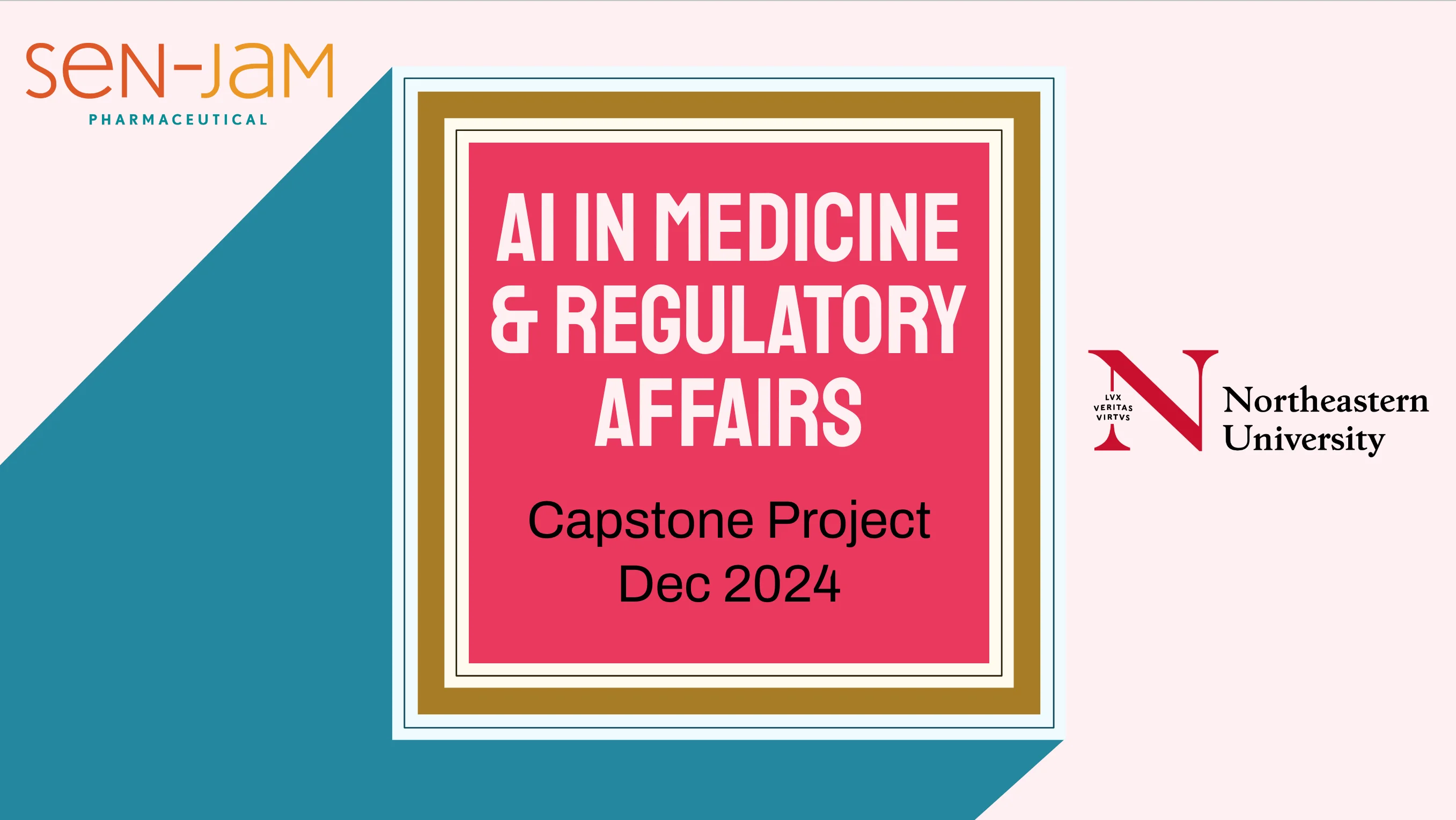 NEU Q4 '24 Capstone Project: AI in Medicine and Regulatory Affairs