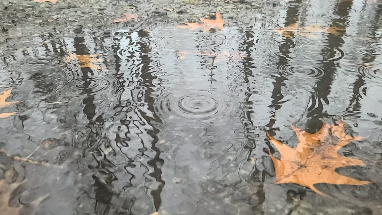 2024 12 15 rainy puddle slow mo 1