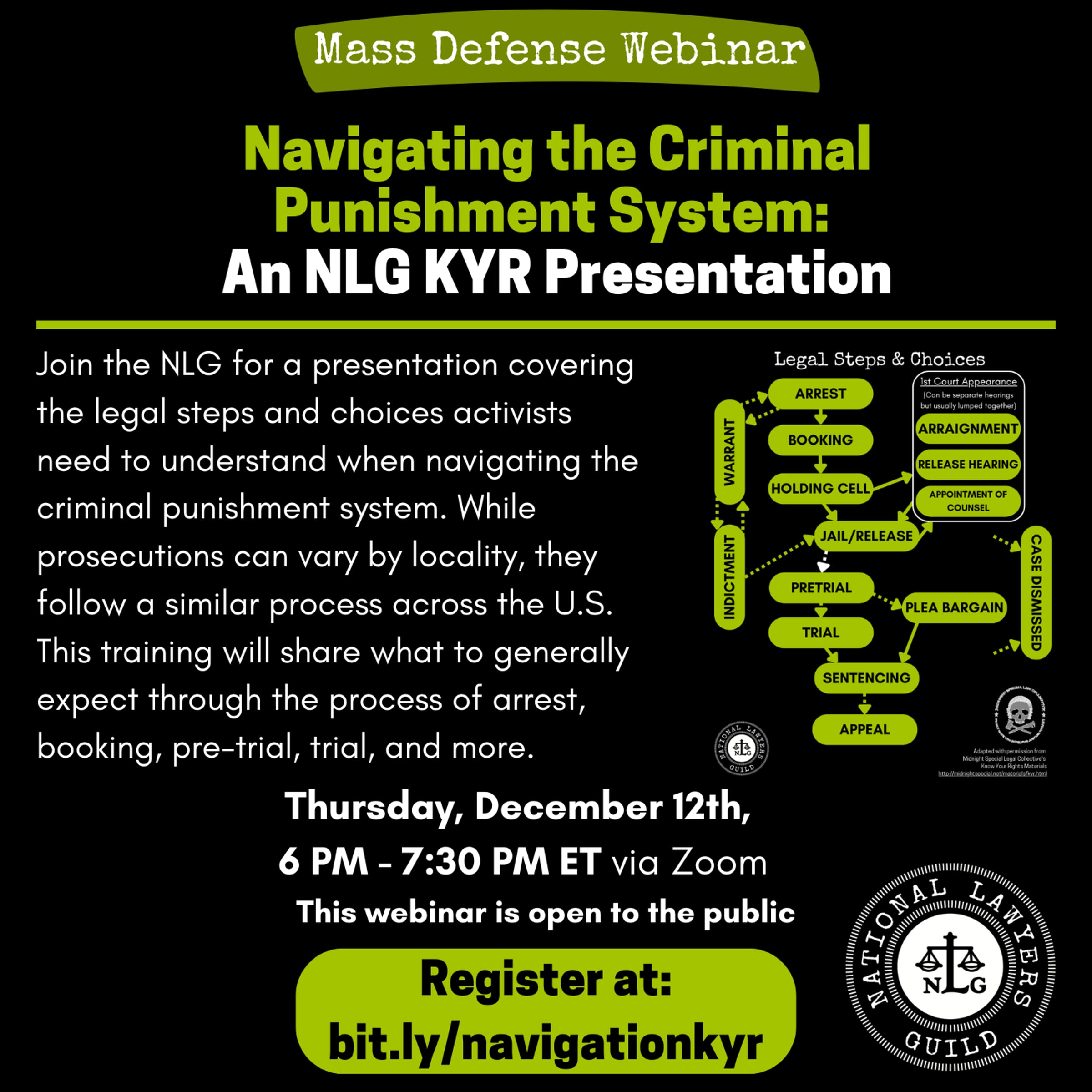 Navigating the Criminal Punishment System: An NLG KYR Presentation (12 ...
