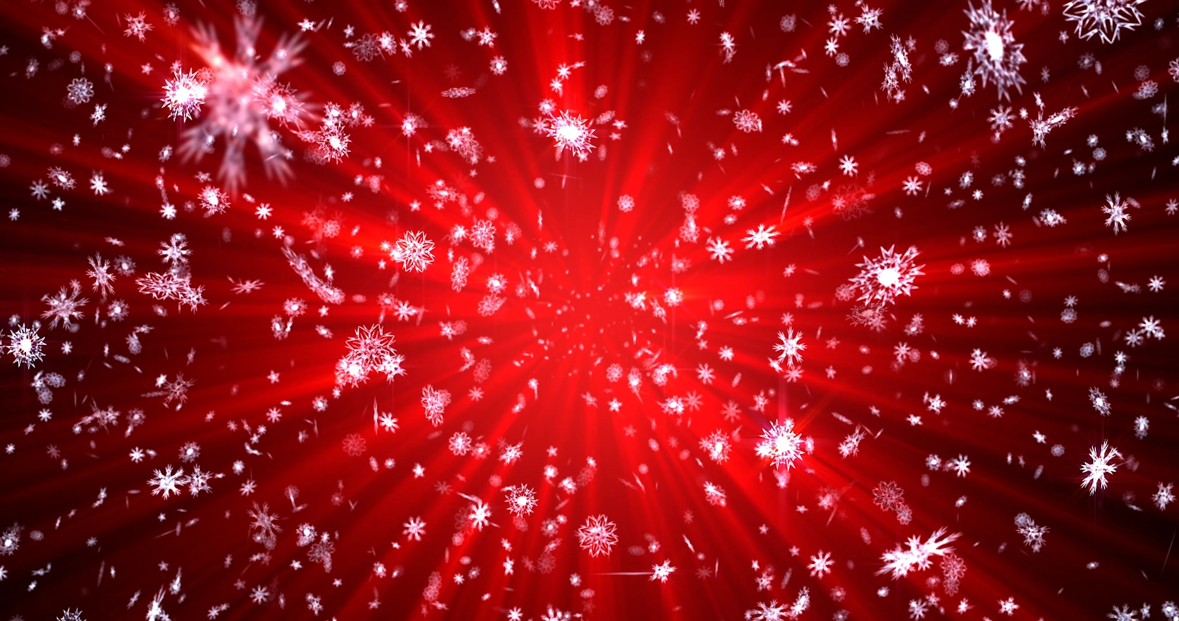 SFOC Leadership Holiday Video 2024