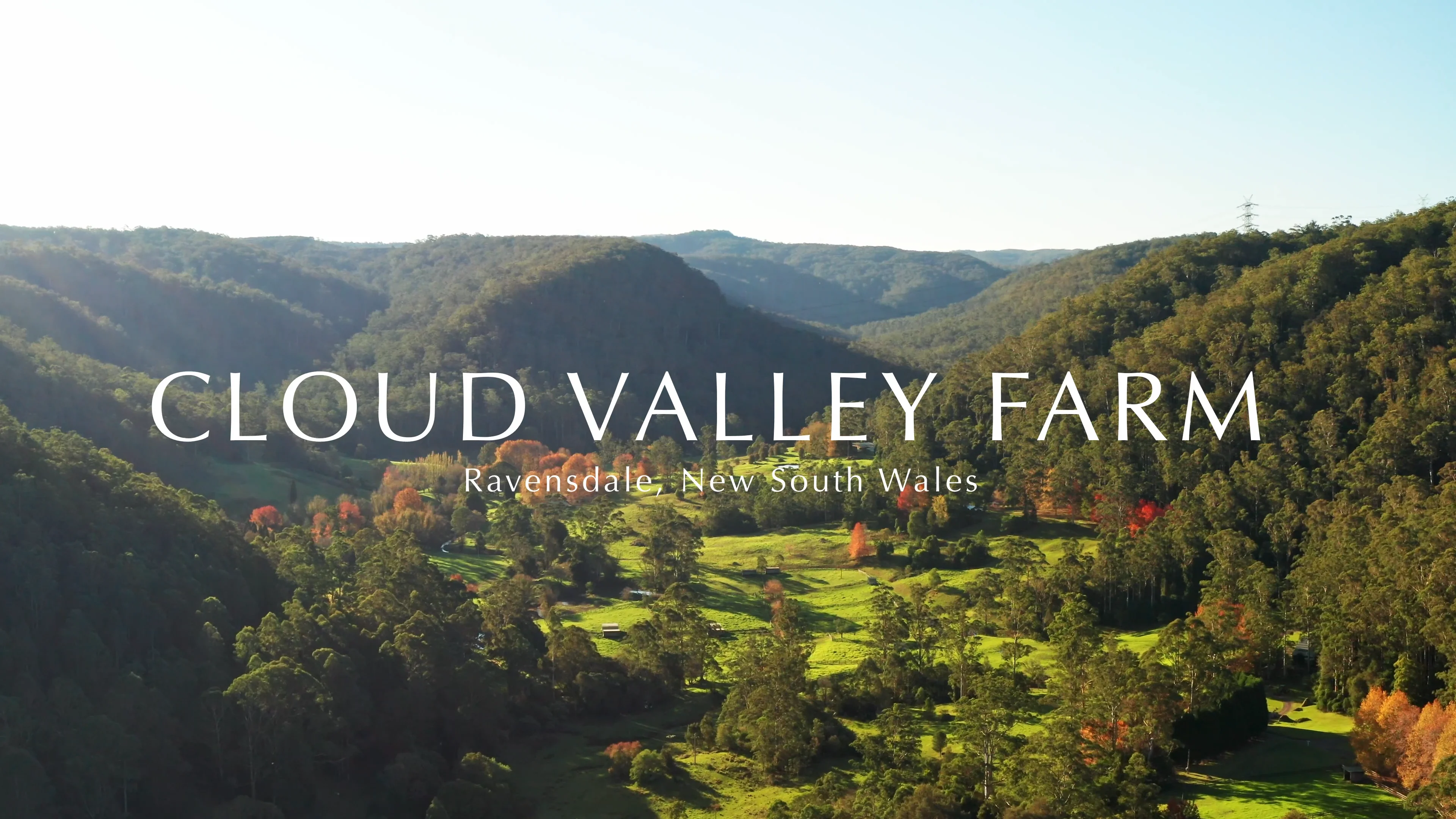 Cloud Valley Farm, Yarramalong Valley NSW