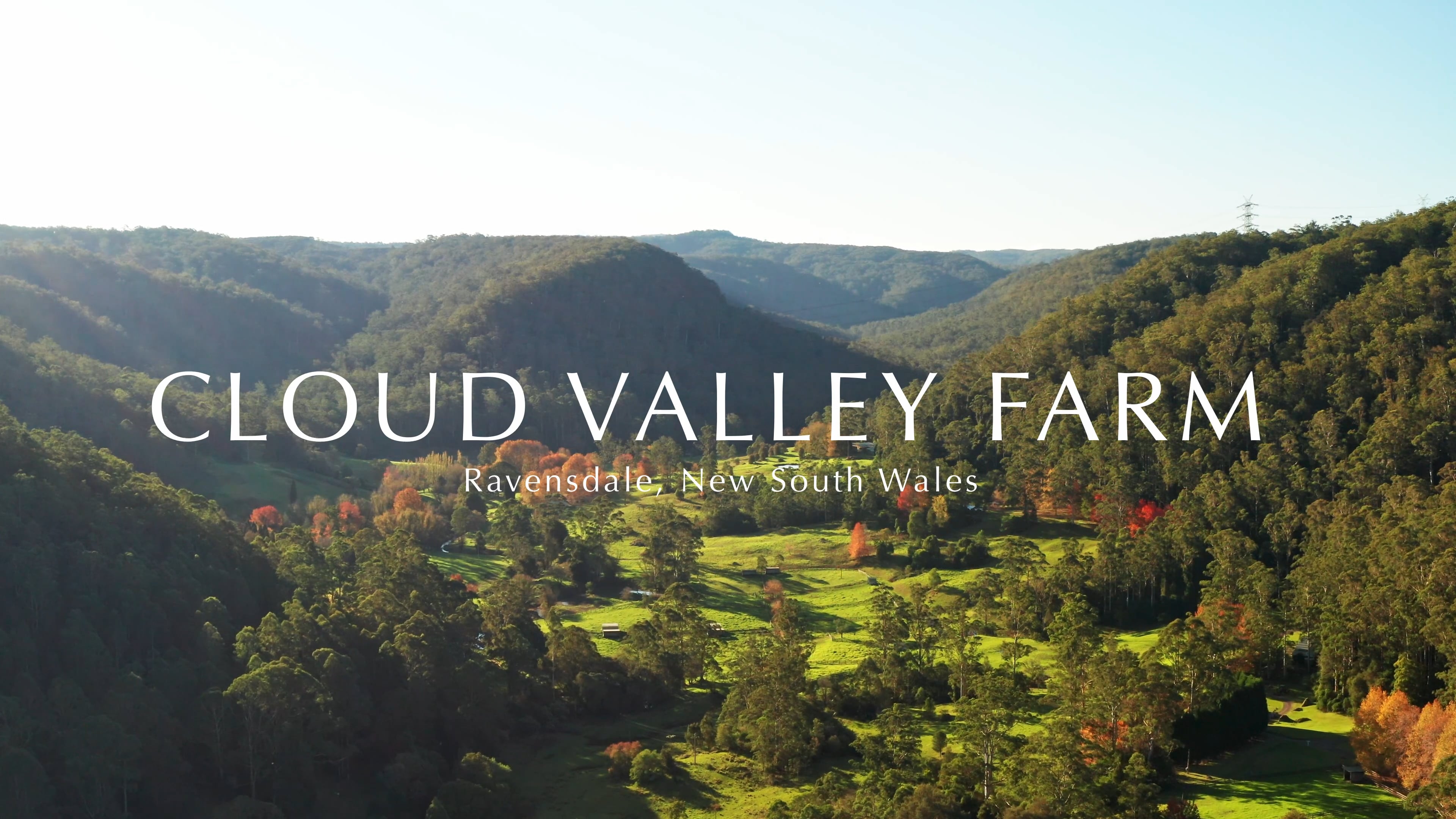 Cloud Valley Farm, Yarramalong Valley NSW