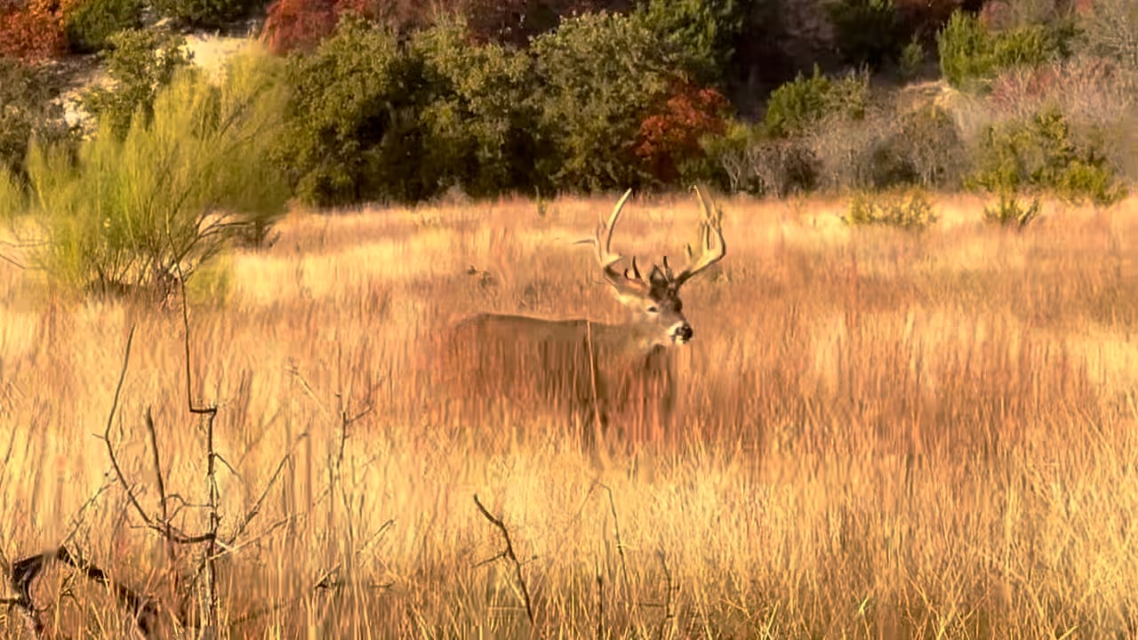 HOME [doubletworanch.com]