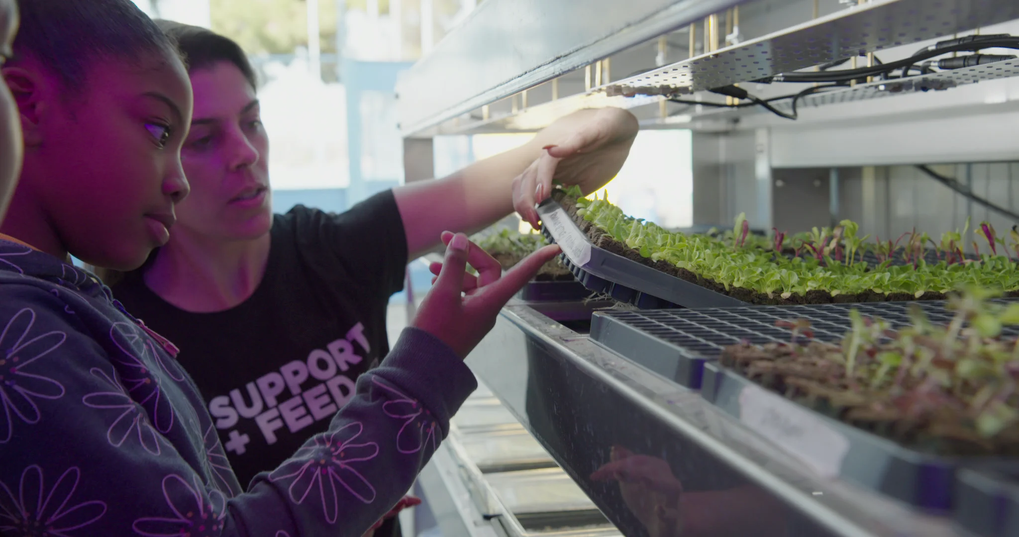 Mission: Support + Feed