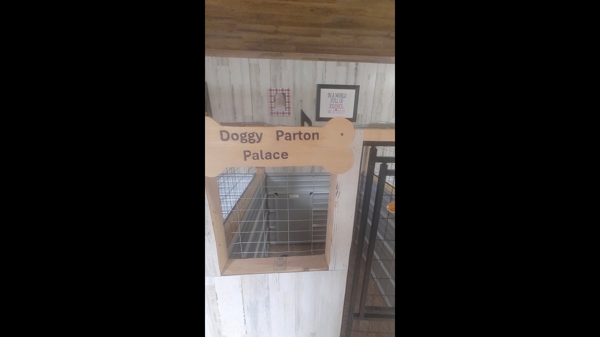 Ulti-Mutt Hound Dog Hotel