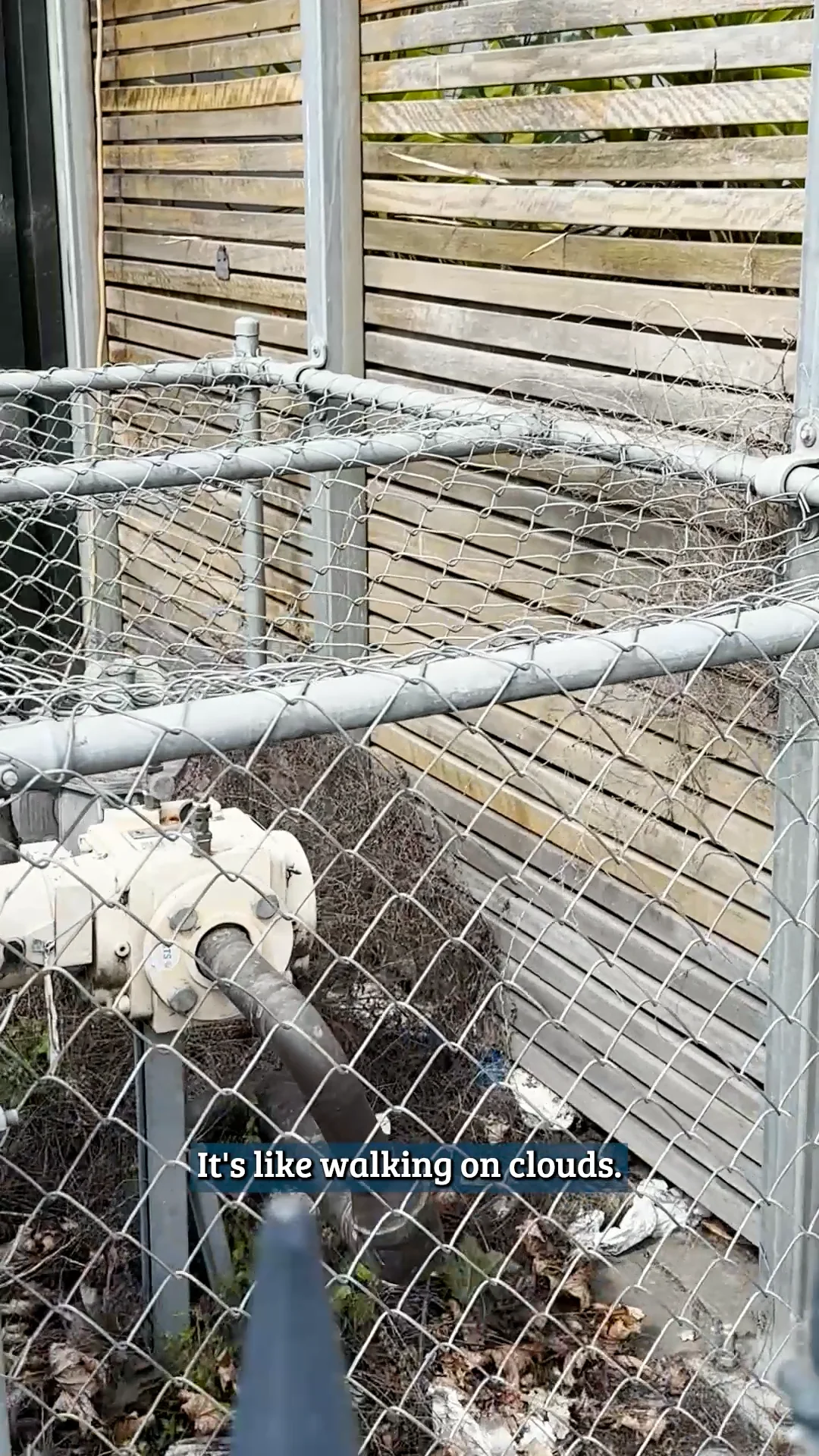 Service Stream Meter Reader