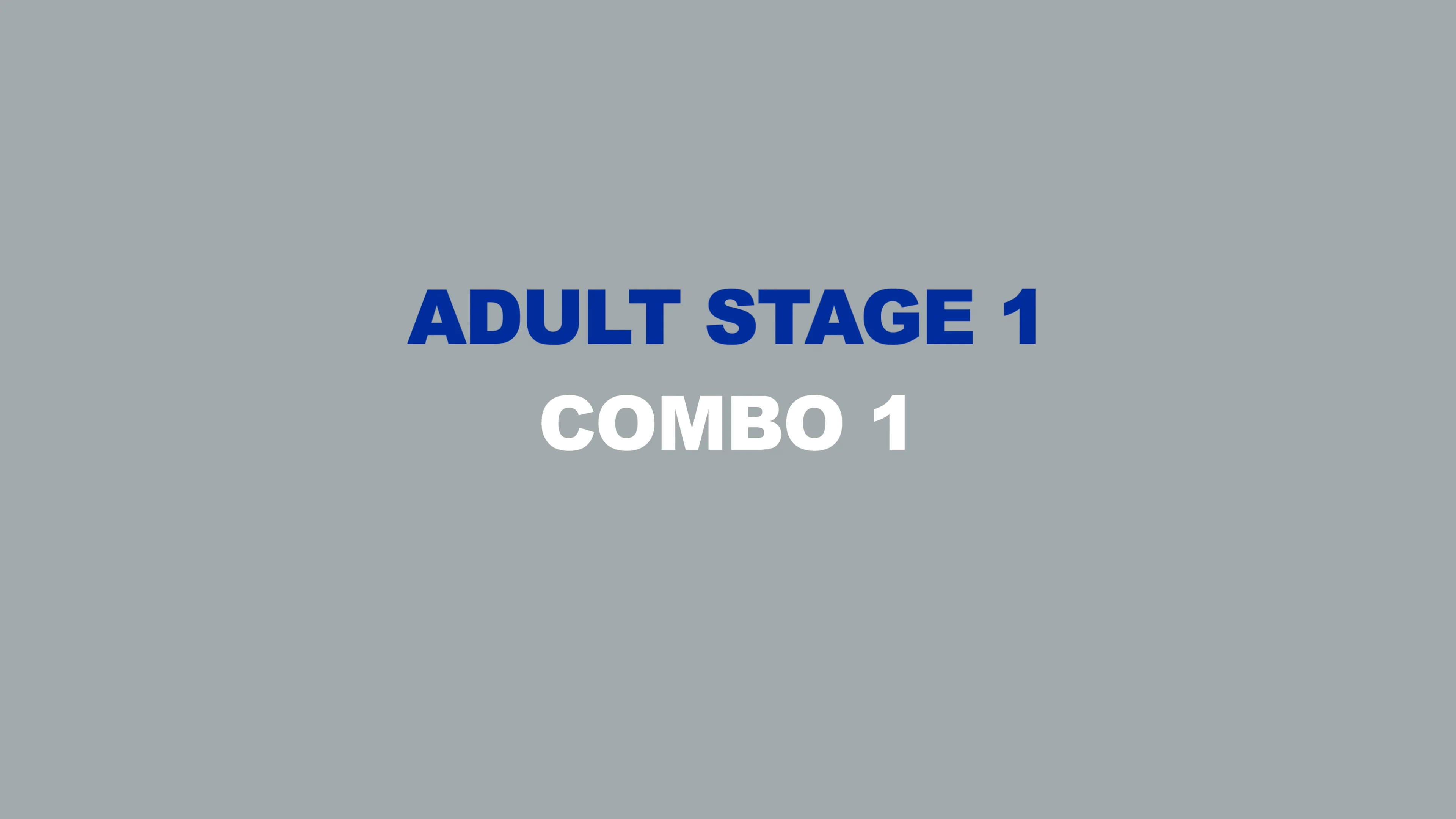 GWT Stage 1 Video