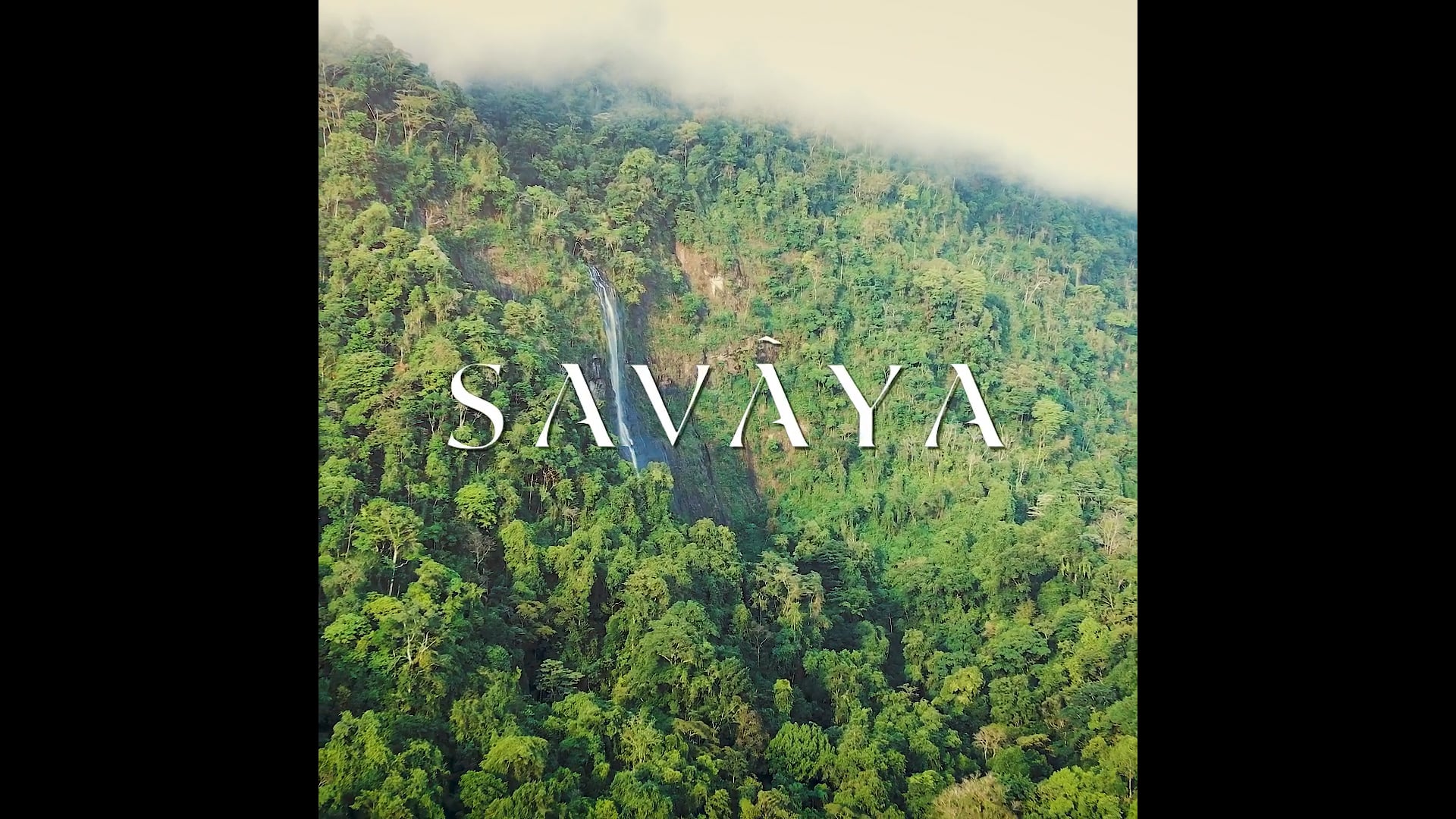 SAVAYA MUSIC
