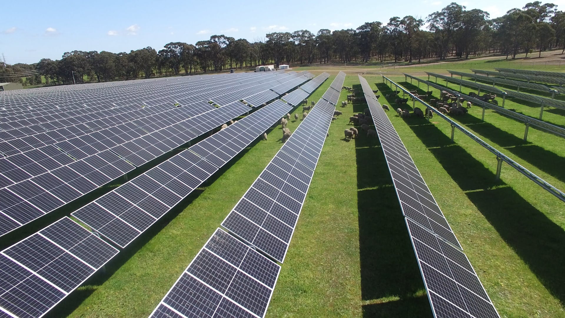 Renewable Energy Partnerships | Collaborate with Photon