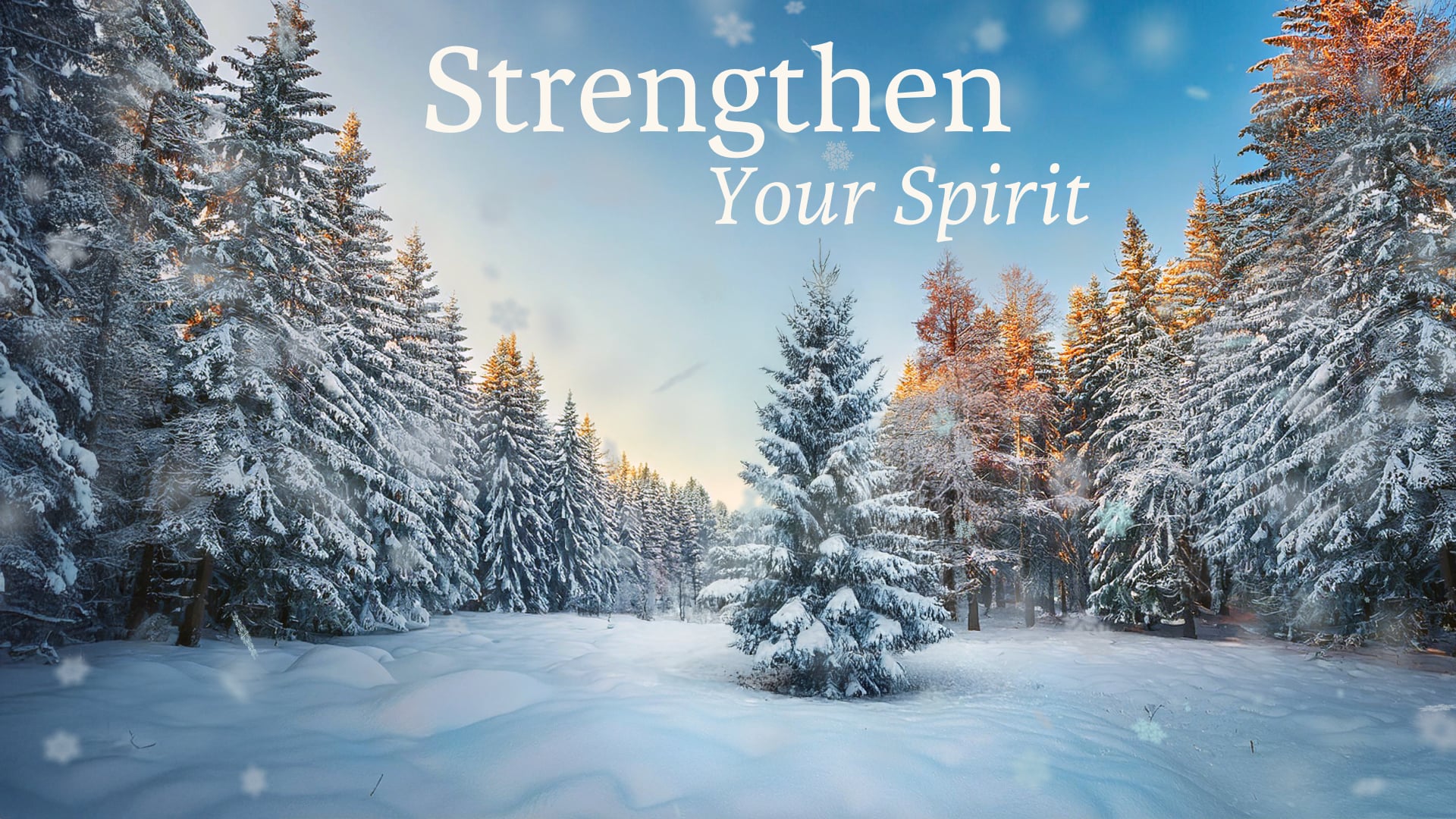 Strengthen Your Spirit | Trinity Fellowship Church