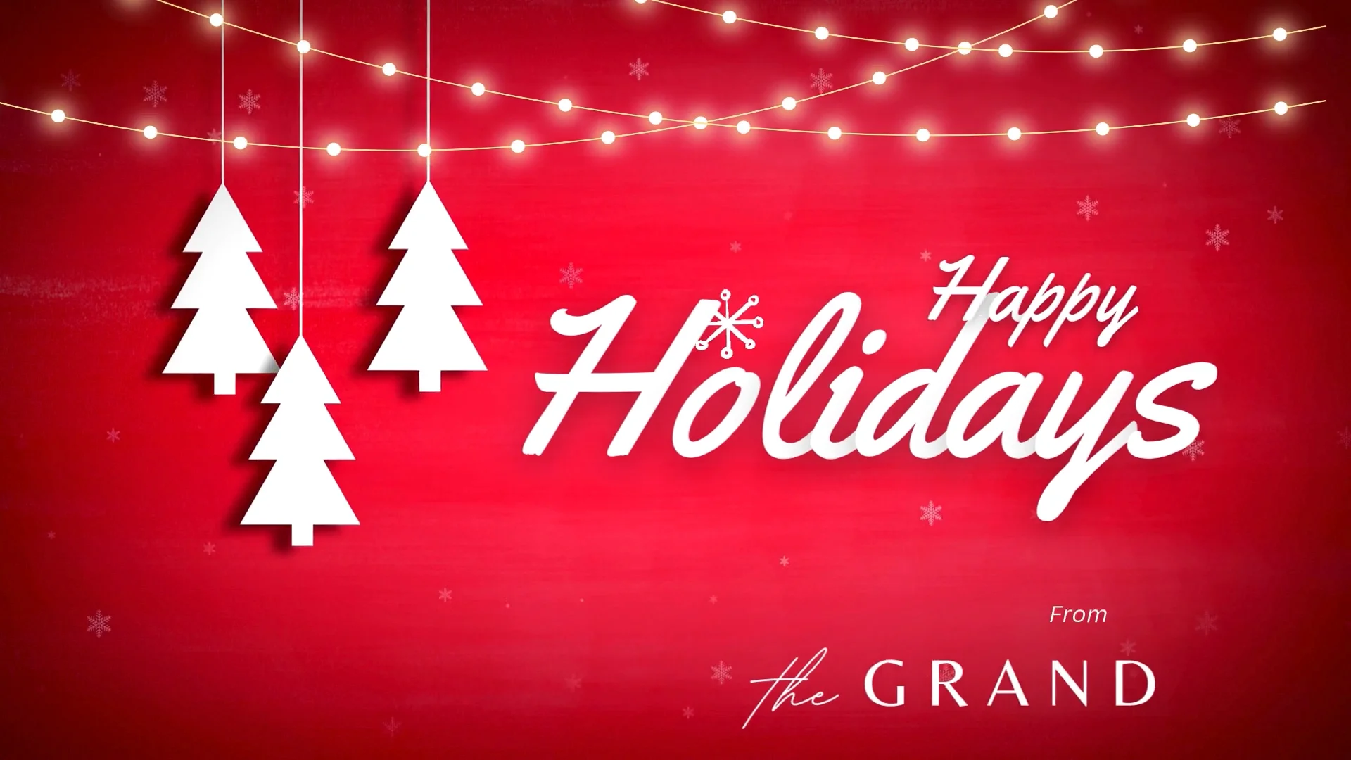 Holiday Lights 2024 Recap