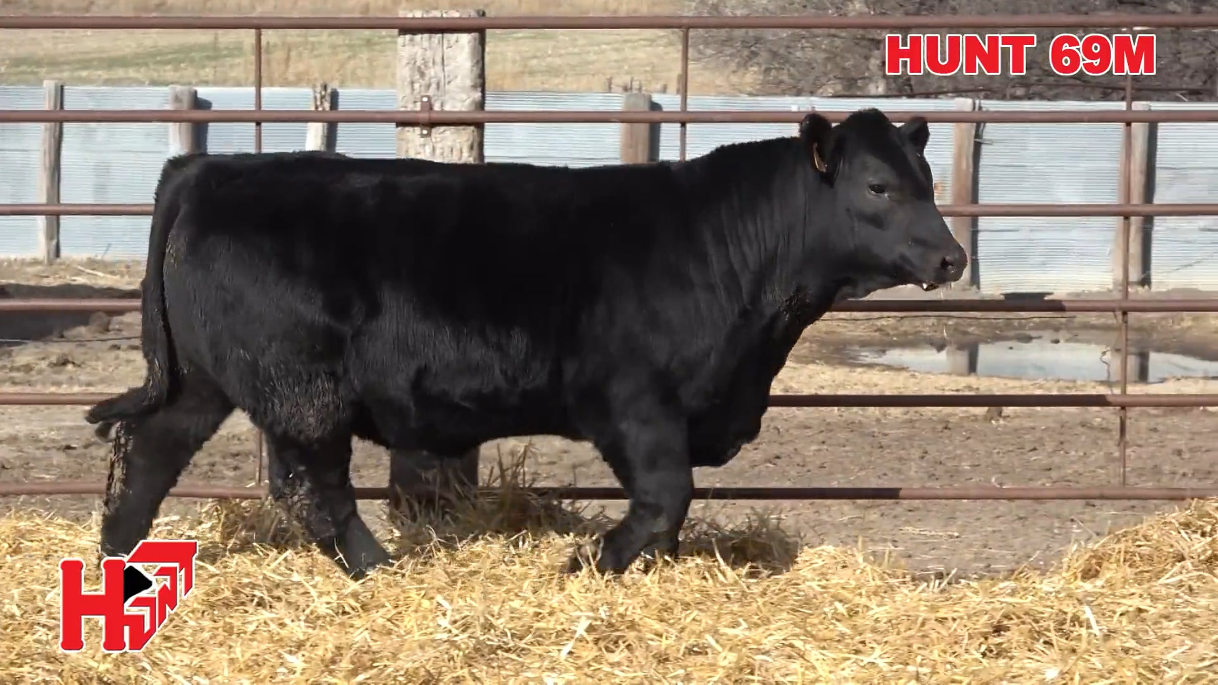 LOT 9 - HUNT MAGICIAN 69M