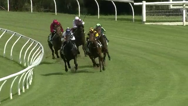 Exceedance - Stallion | Breednet