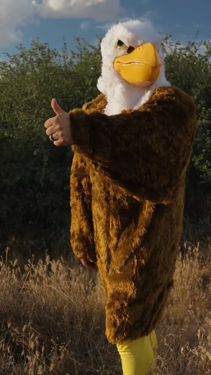 funny vertical final