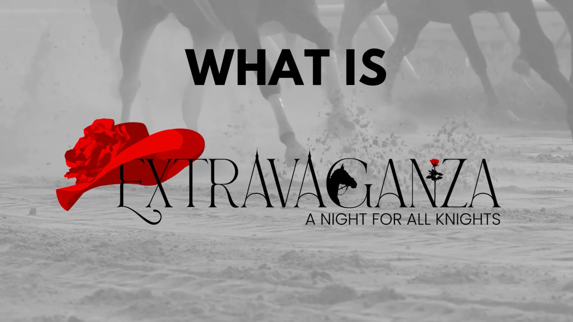 What is Extravaganza?