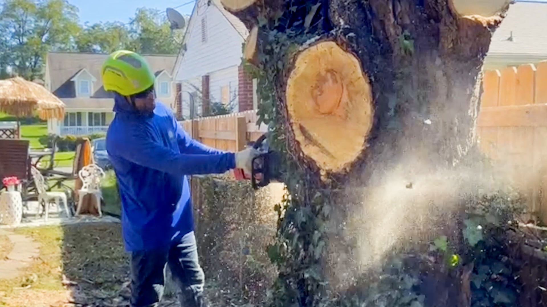 Professional Tree Trimming and Removal Services