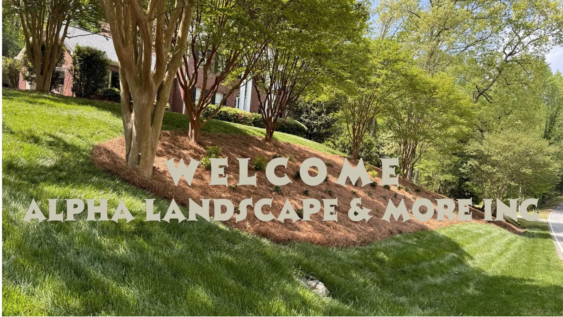 Professional Landscaping Services | Alpha Landscape & More
