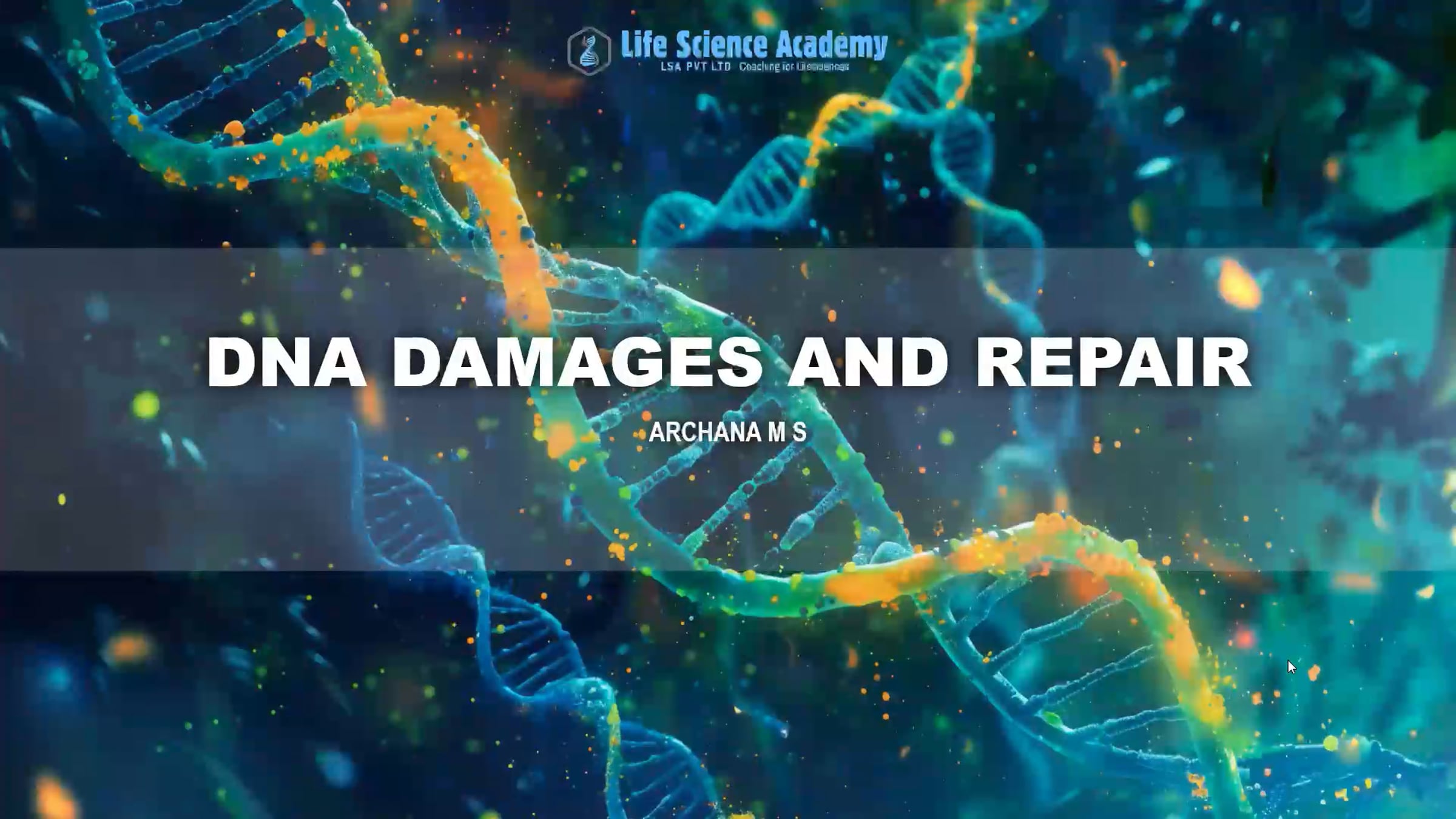 SET24 58 COM DNA Damages & Repair