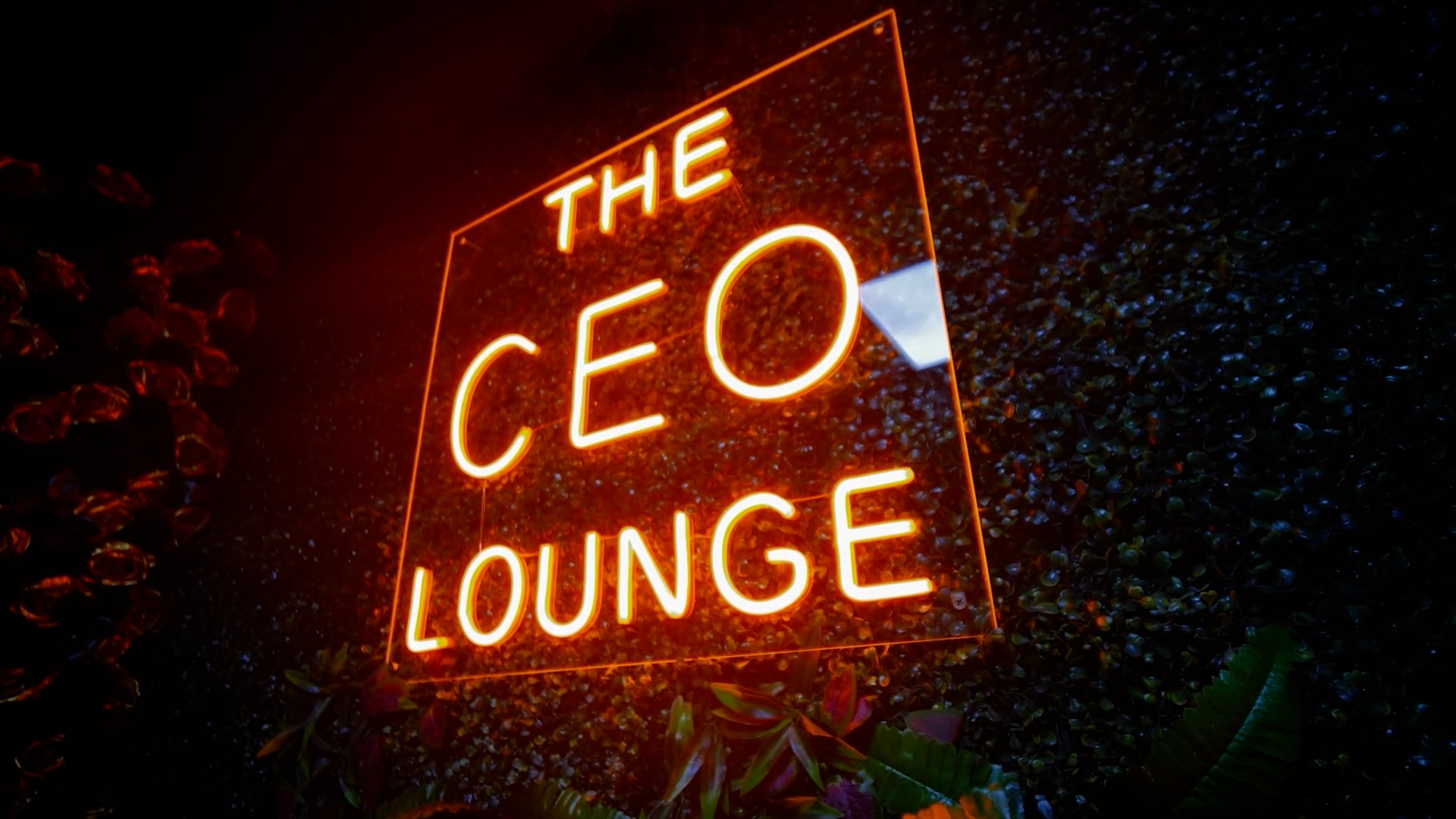 HOME [theceolounge.co.uk]