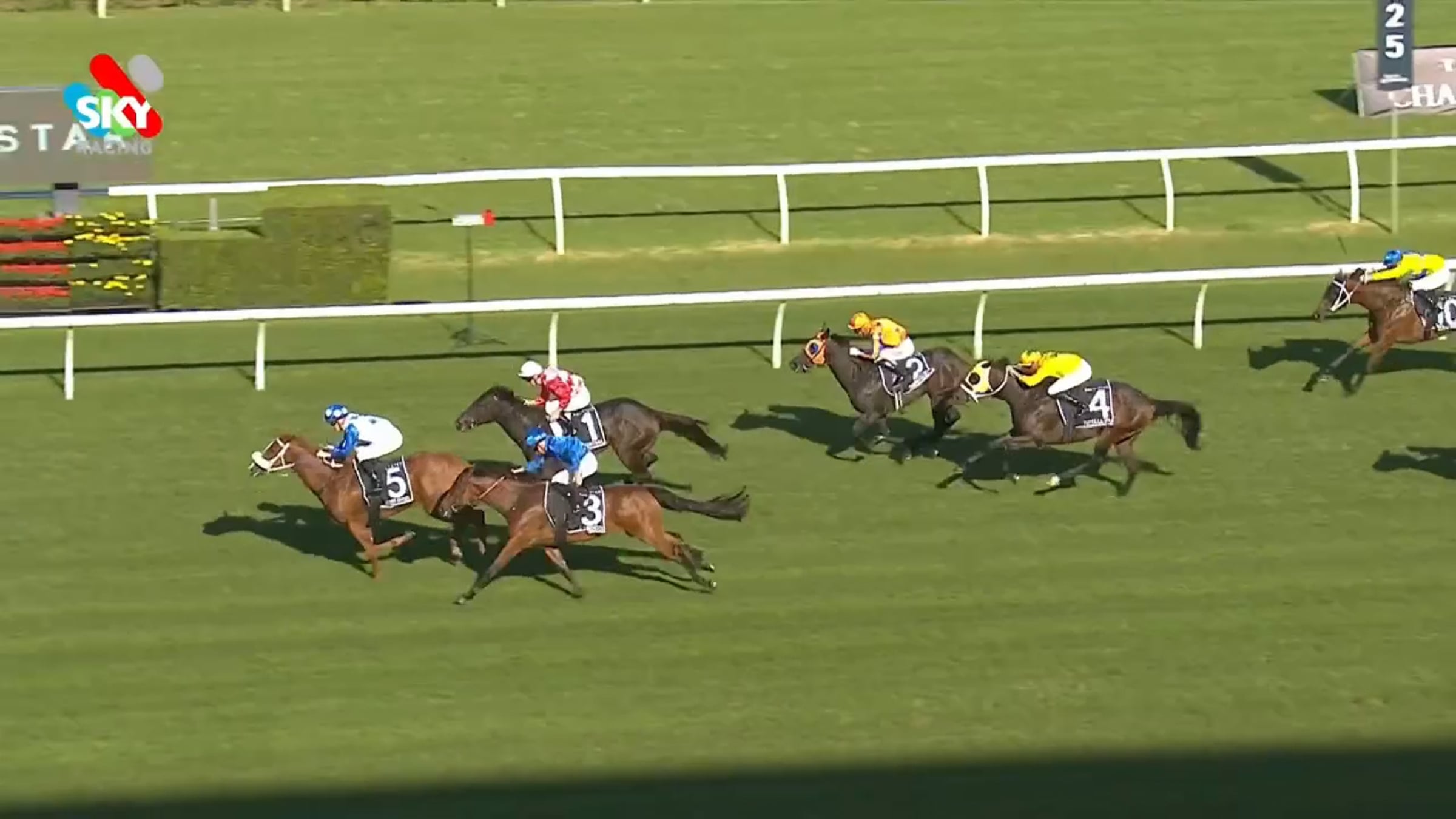 Wylie Peter Moody Katherine Coleman Magic Millions 2025