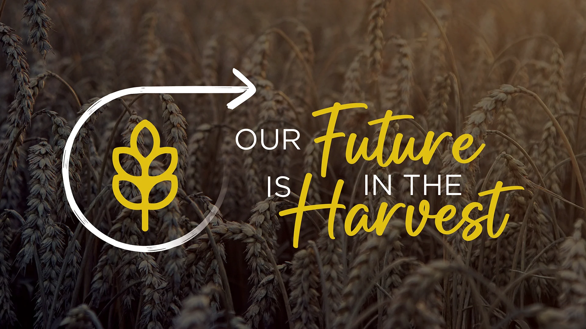 Our Future is in the Harvest | January 5th, 2025