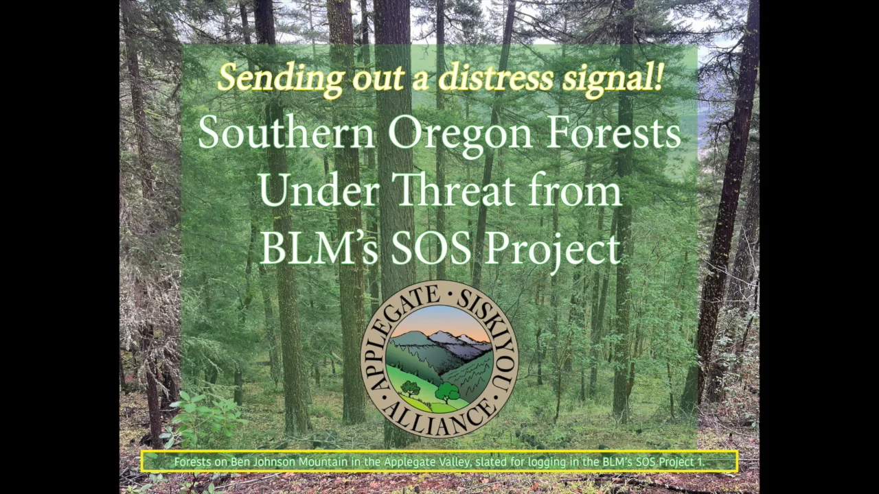 Sending Out A Distress Signal! Southern Oregon Forests Under Threat ...