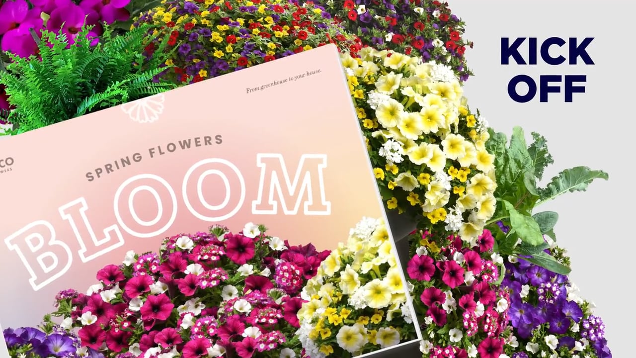 BLOOM Spring Flowers Kick Off Video - JOCO Growers