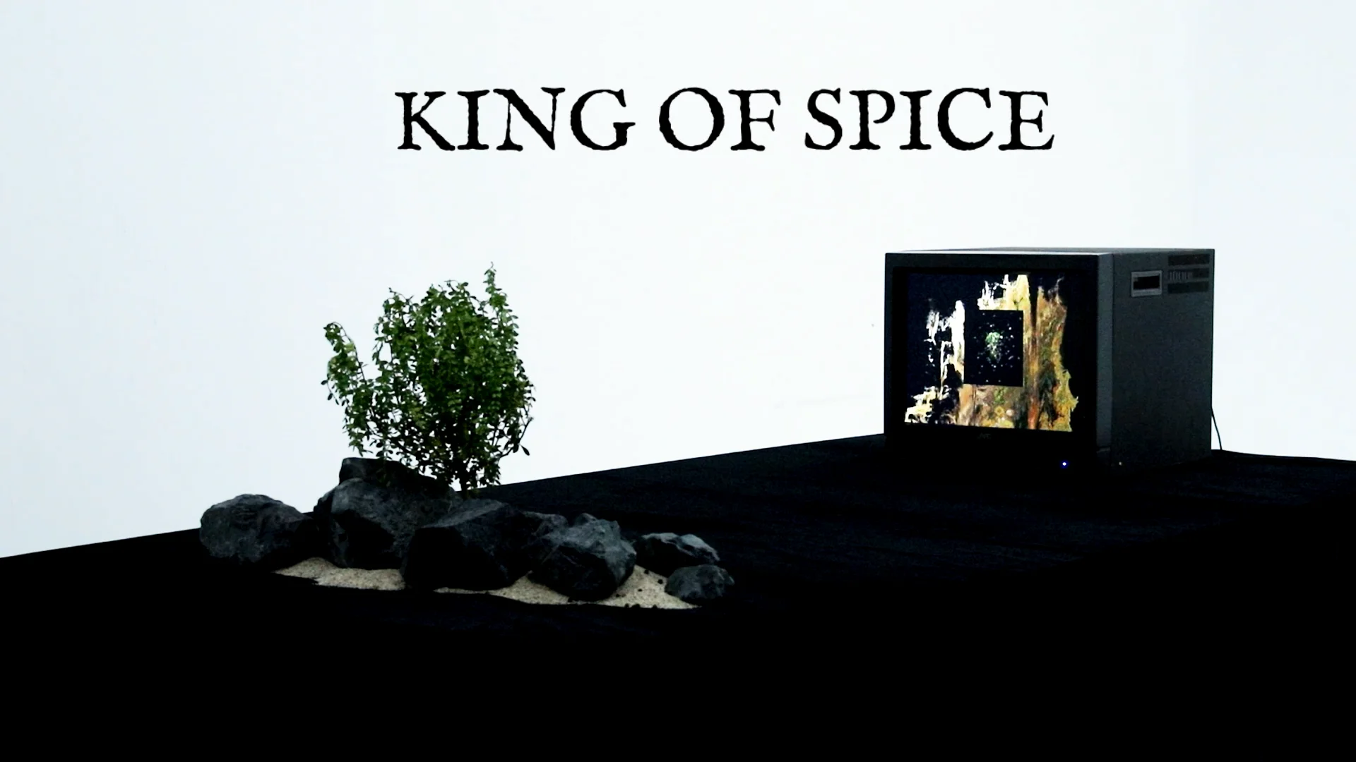king Of Spices