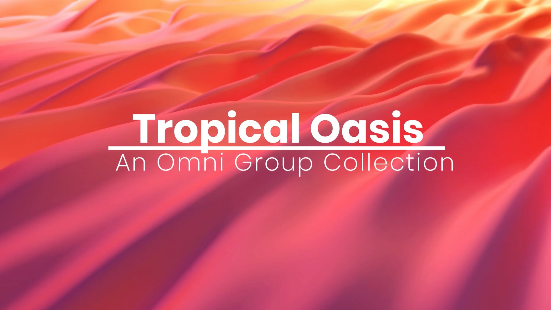 The Omni Group