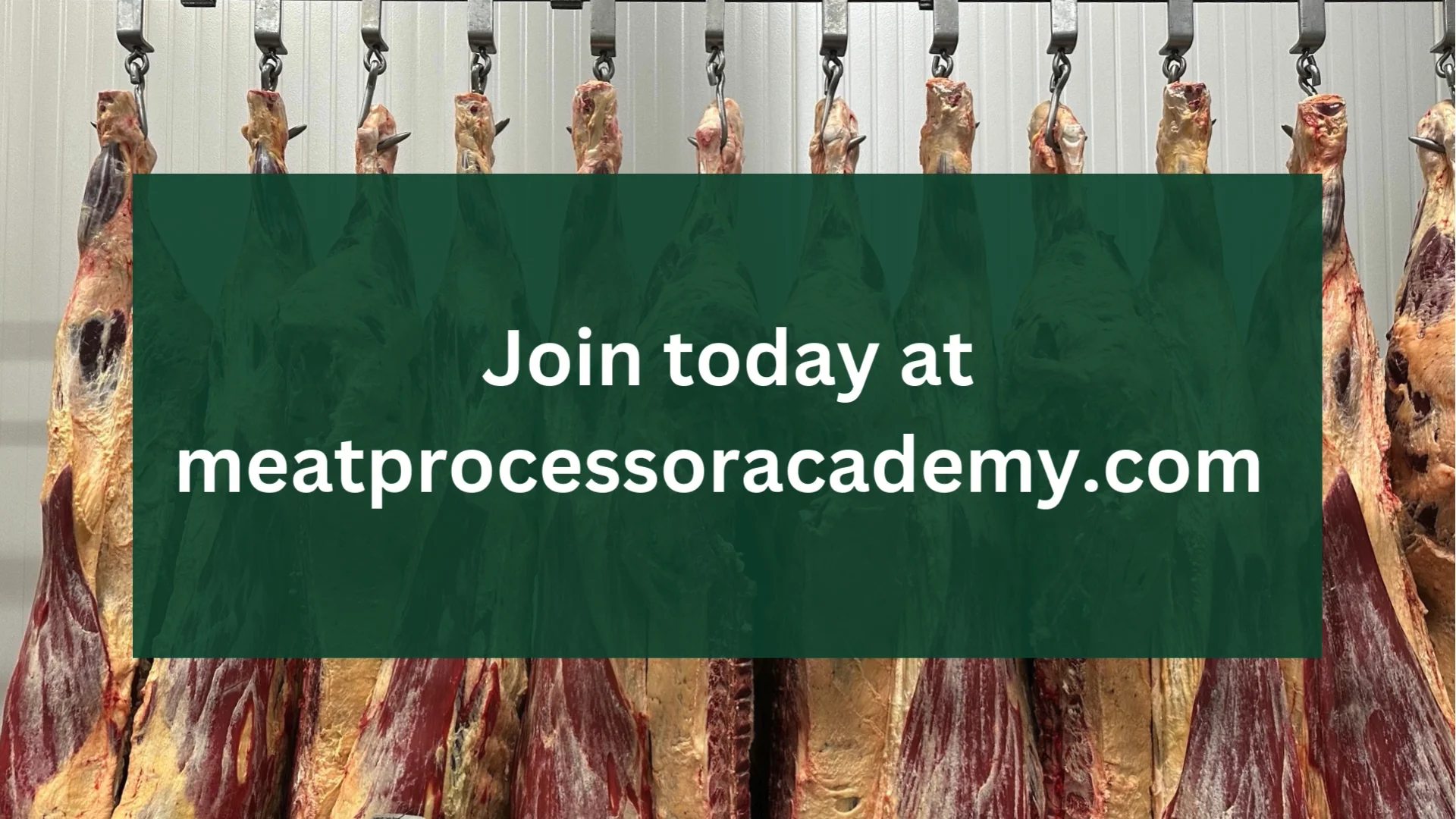 Meat Processor Academy Mastermind testimonials
