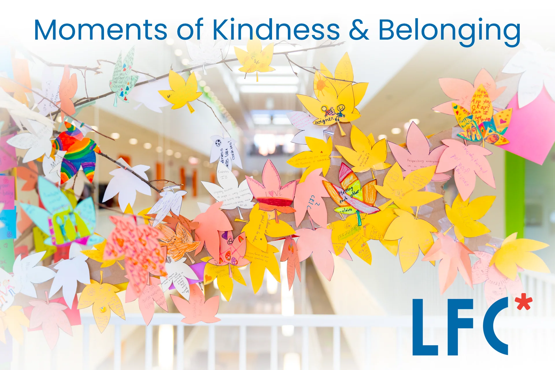 Moments of Kindness & Belonging