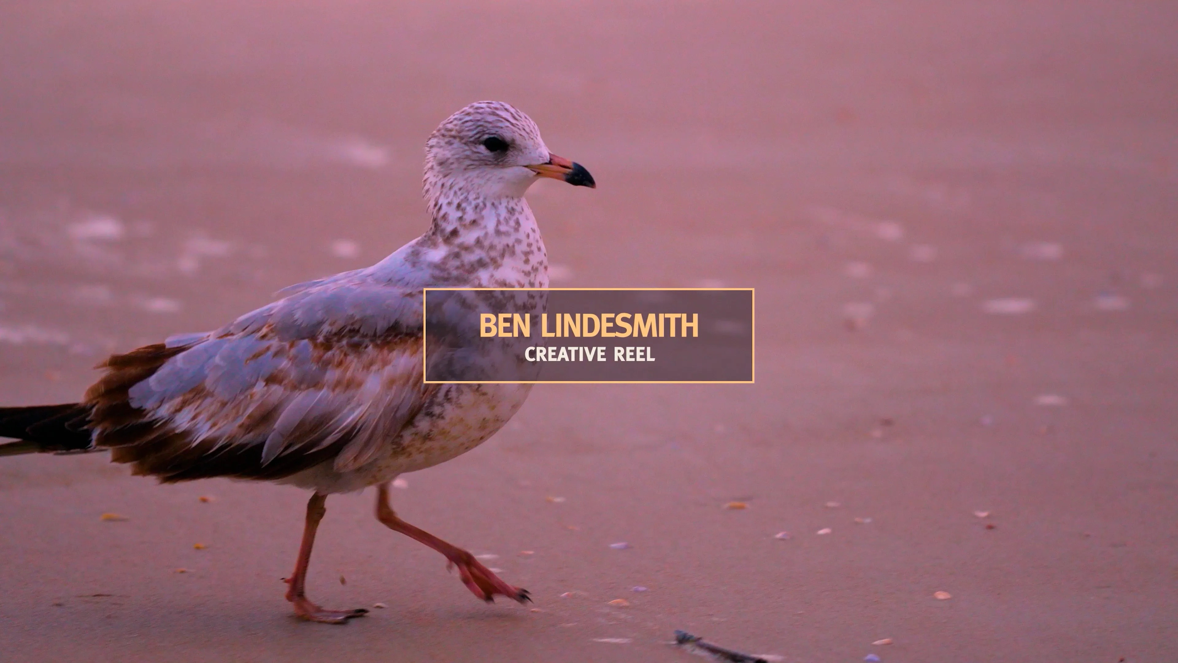Ben Lindesmith Creative Reel 2025