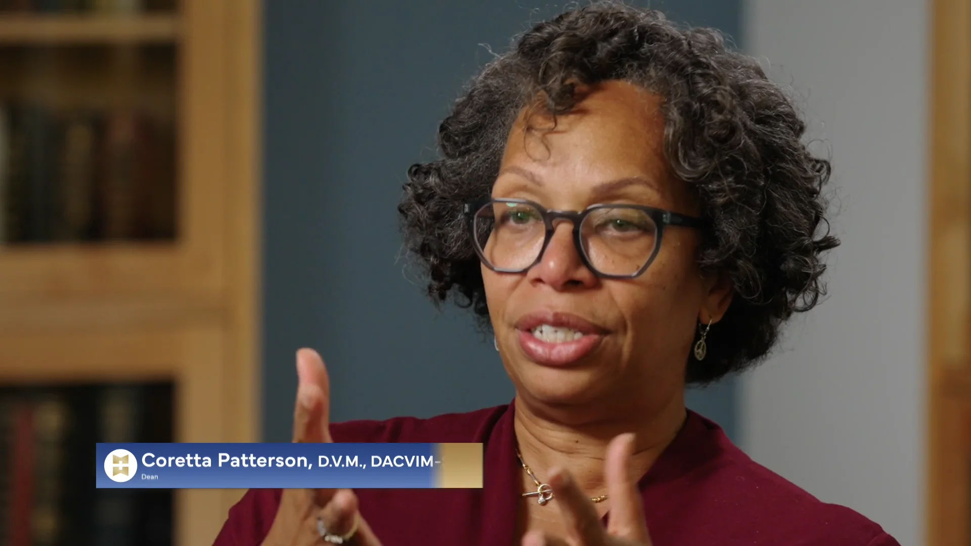 vet_dg_-_coretta_patterson_01_hd (1080p)