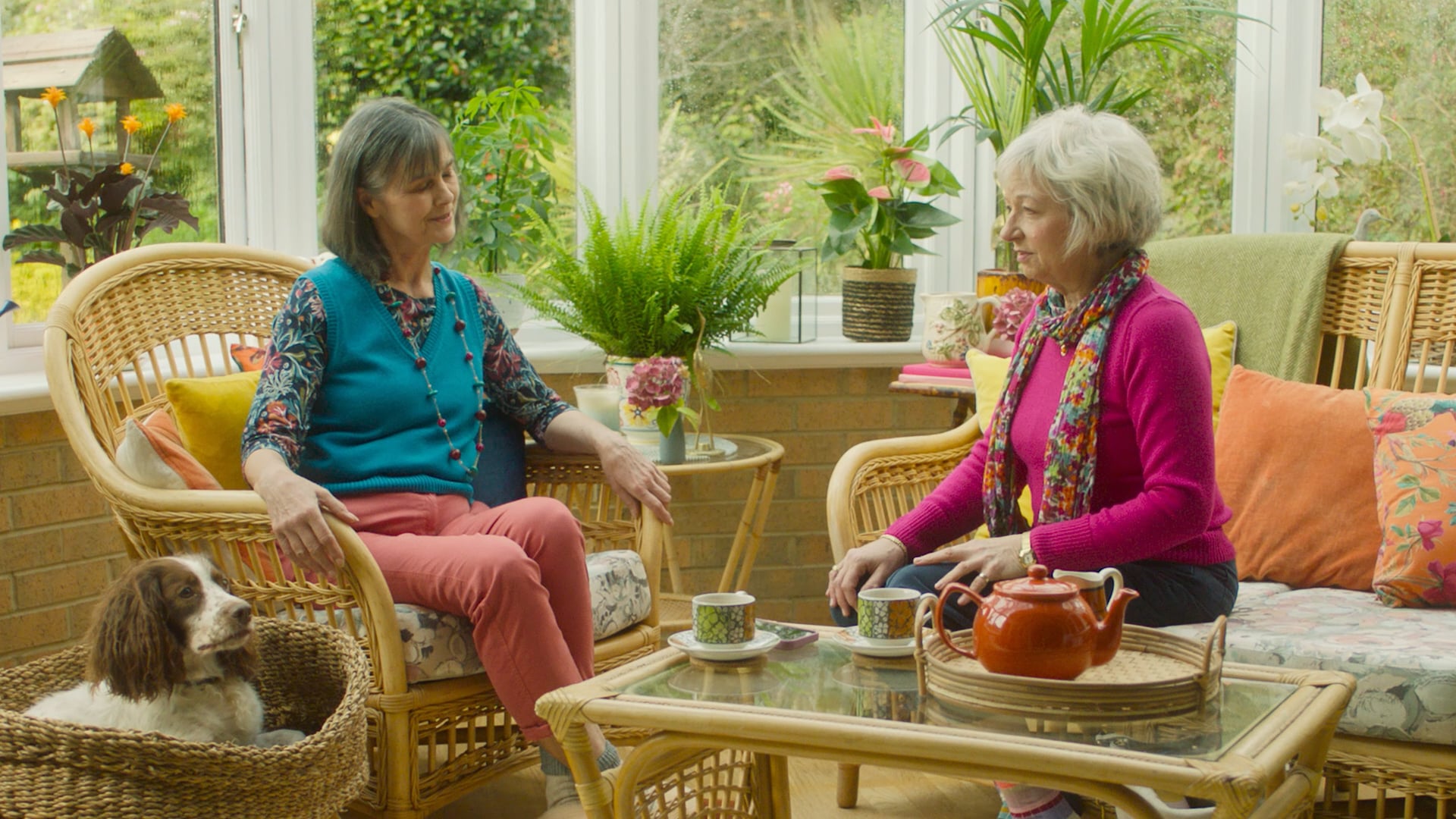 Pure Cremation // TVC // Give Them a Call // 60s | Videos & Movies on Vimeo